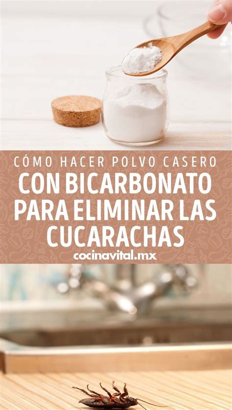 Cómo Hacer Polvo Casero Con Bicarbonato Para Eliminar Las Cucarachas