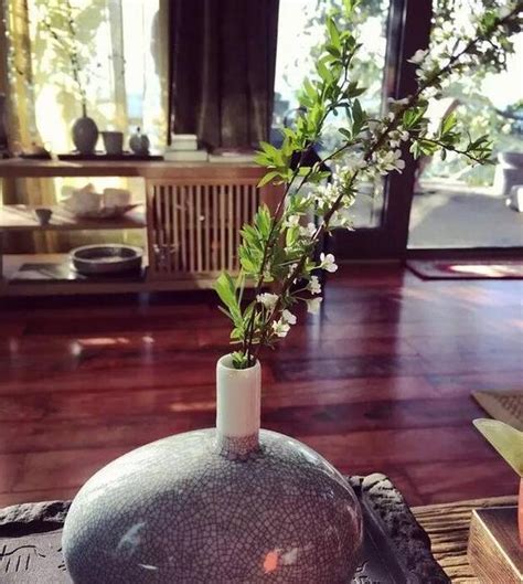 楊麗萍擁億萬依山傍水豪宅內景裝修猶如仙境仙氣十足 每日頭條