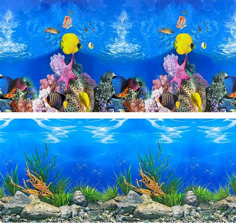 Aquarium Water Background