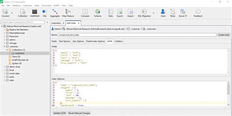 How To Create A MongoDB Index Studio 3T