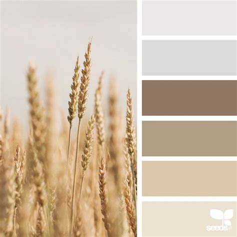 Palette 1 Nature Color Palette Design Seeds Color Palette Seeds Color Palette