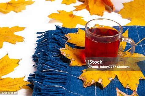 담요와 흰색 배경에 잎 차 한잔 텍스트에 대 한 장소입니다 가 편안 함 3위에 대한 스톡 사진 및 기타 이미지 3위 가을 개념 Istock