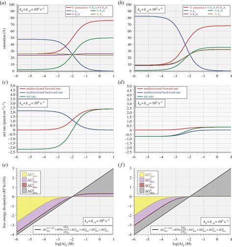 Variation Of Enzyme Saturation A B Unidirectional And Net Reaction Download Scientific