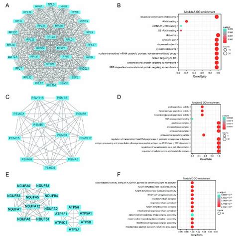 Three Modules Extracted From Protein Protein Interaction Ppi Network