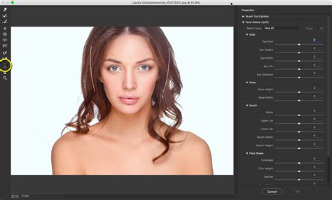 Face Liquify Tool In Photoshop Change That Face Structure TrickyPhotoshop