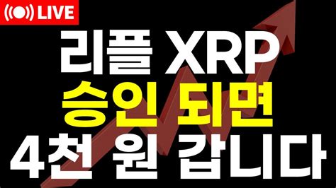 리플 벌써 승인되는거예요 Youtube