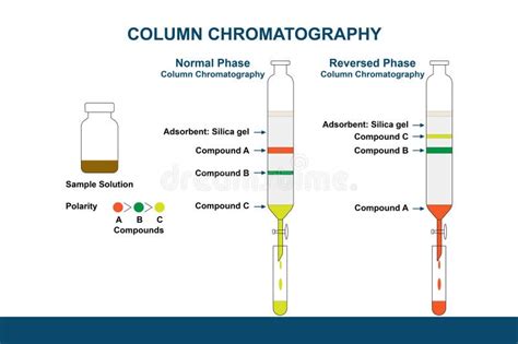 Chromatography Tlc Stock Illustrations 15 Chromatography Tlc Stock Illustrations Vectors