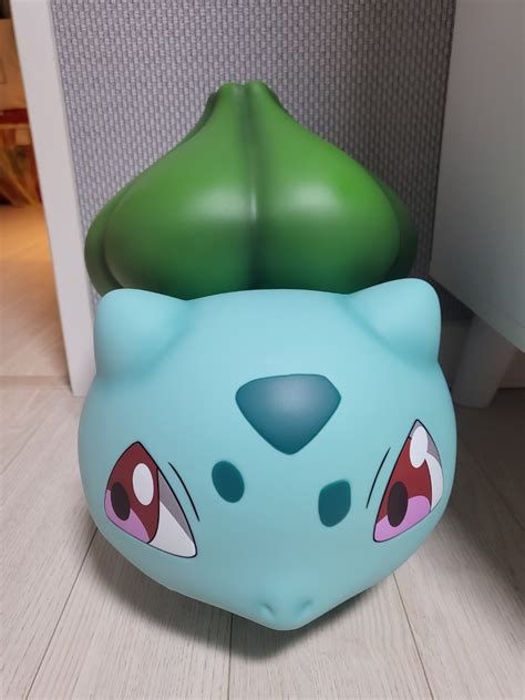 이상해씨💚 콜리 Colley