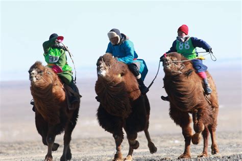 Өмнөговь аймаг