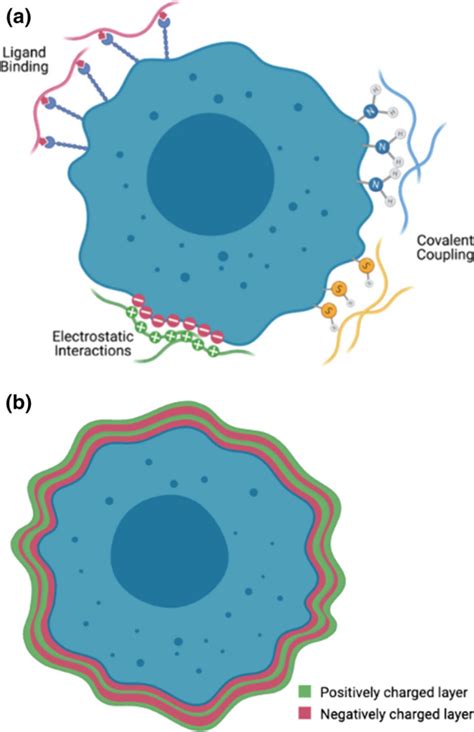 Microencapsulation Based Cell Therapies Abstract Europe Pmc