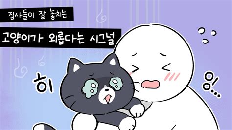 집사들이 쉽게 놓치는 고양이가 외롭다는 신호 Youtube