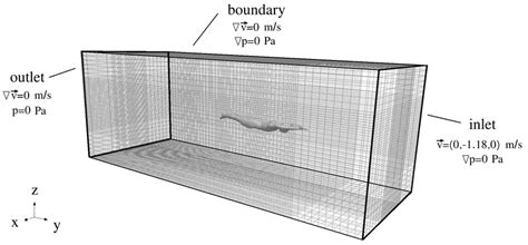 Boundary Conditions At Calculation Mesh Fluid Intake Inlet Fluid