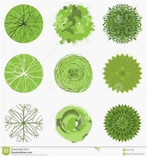 Tree Plan Vector At GetDrawings Free Download