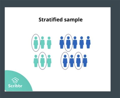Sampling Methods 5 Flashcards Quizlet Sampling Methods 5 Flashcards Quizlet