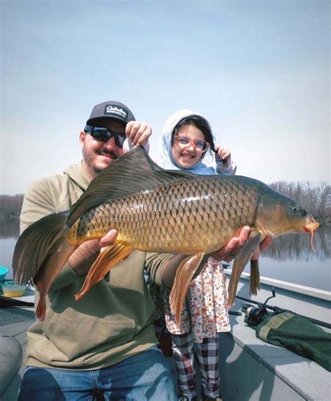 Freshwater Spring Carp The Fisherman
