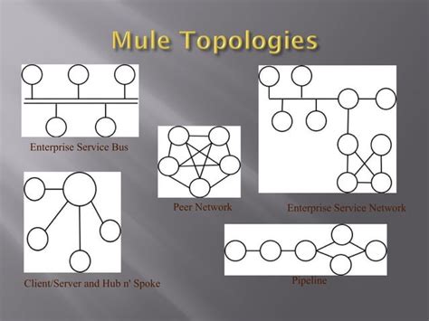 Mule Execution Ppt