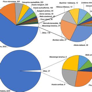 Pie In Pie Charts Depicting The Frequency Of Tree Species Of A The Download Scientific Diagram