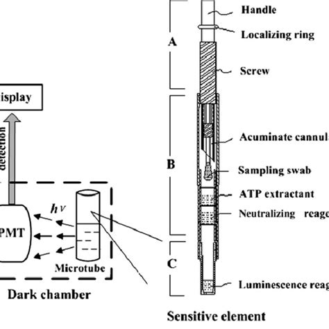 Block Diagram Of The Bioluminescence Based Biosensor Designed For Rapid Download Scientific