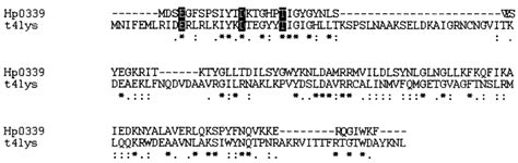 Clustalw Alignment The T4 Lysozyme Amino Acid Sequence Was Used As A