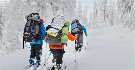 배낭과 스키를 든 단체 등산객들이 우랄 산맥의 눈 덮인 숲을 걷습니다 사진 Unsplash의 숲 이미지