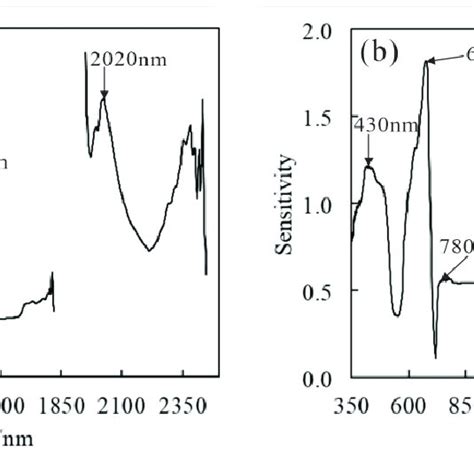 Sensitivity Analysis Of Crop Canopy Spectral Reflectance At Different