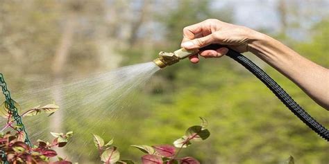 Why Your Pressure Washer Leaking Water From Handle