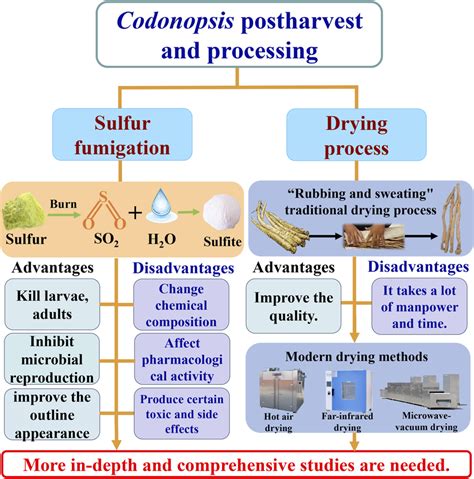 Codonopsis Radix Postharvest Processing Download Scientific Diagram