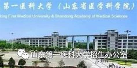 山东第一医科大学组织招生宣传线上培训 手机新浪网