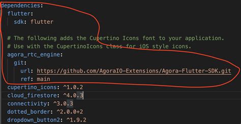App Crash After Kill The Application Agora And Issue AgoraIO Extensions
