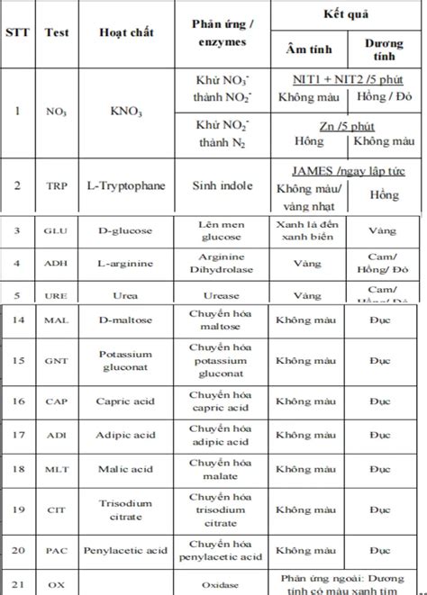 TÌm HiỂu VÀ PhÂn TÍch Pseudomonas Aeruginosa