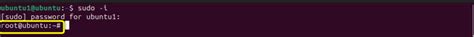 How Do I Exit Sudo Mode In Ubuntu 2204 Linuxways