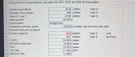 Solved Using The Set Of Assumptions Calculate The Npv Bcr