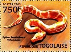 Stamp Python Regius Togo West African Fauna Python Royal Mi TG