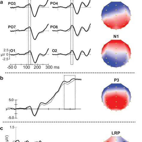 Enhanced Temporal Expectation Modulation Of Early Visual P1 Later P3 Download Scientific