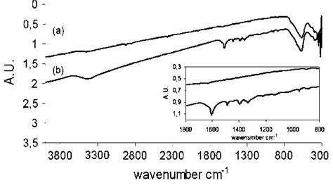 Reflectance Diffuse Ft Ir Spectra In Pellets Of A Fe 3 O 4 Htab And Download Scientific