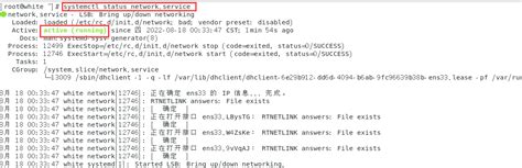 Linux的network服务显示active exited 怎么解决 技术 麒麟在线