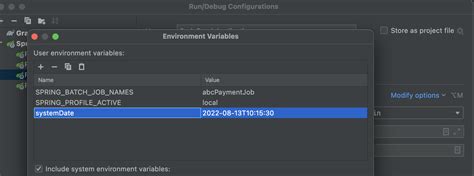 Gradle In Local Environment Variable Passed With Intellij Is Not