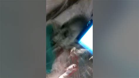 Opencv And Arduino Youtube