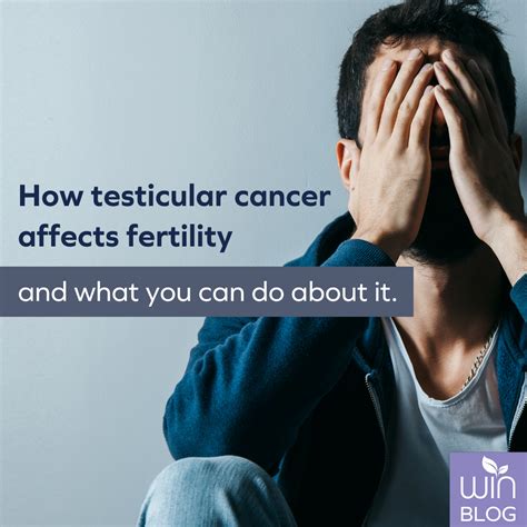 Preserving Your Fertility While Facing Testicular Cancer Win