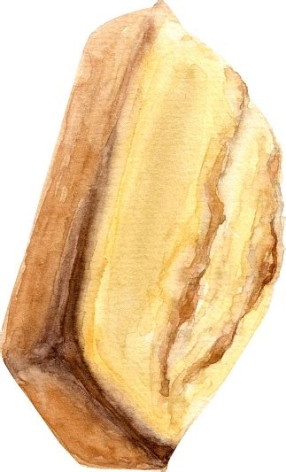 Financier 프랑스 베이커리 생과자 디저트 손으로 그린 수채화 그림은 흰색 배경에 고립되어 있습니다 과일에 대한 스톡 벡터 아트 및 기타 이미지 Istock