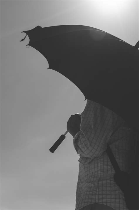 무료 이미지 실루엣 검정색과 흰색 화이트 우산 검은 단색화 흑백 사진 지구의 분위기 패션 액세서리