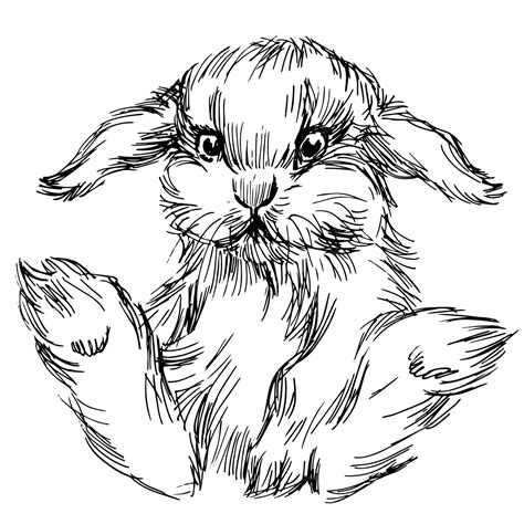 Premium Vector Hand Drawn Vector Illustration Of Cute Smiling Rabbit