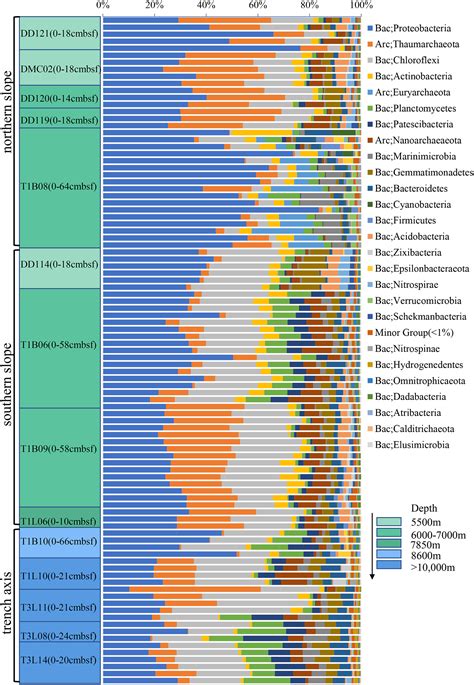 Spatial Variations Of Microbial Communities In Abyssal And Hadal