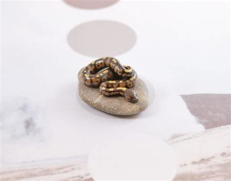 Adorable Ball Python Figurine Made From Polymer Clay By The Clay Kiosk