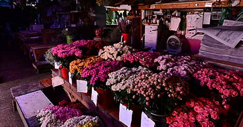 걱정 안고 휴가 떠난 남대문 꽃시장