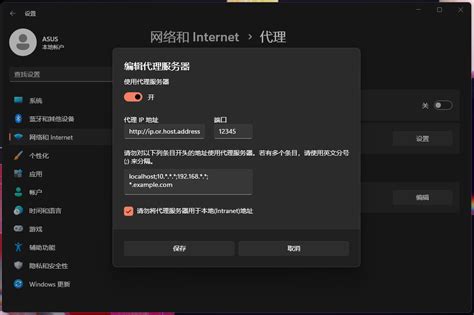 windows系统代理的使用方式