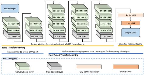 Plants Free Full Text Deep Learning Utilization In Agriculture Detection Of Rice Plant