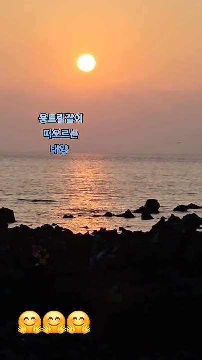 새해 복많이 받으세요 옥상 우영팟 새해맞이 일출제주vlog Youtube