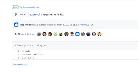 Older Version Of Setup Tool And Setuptool Dist Info Getting Flagged By