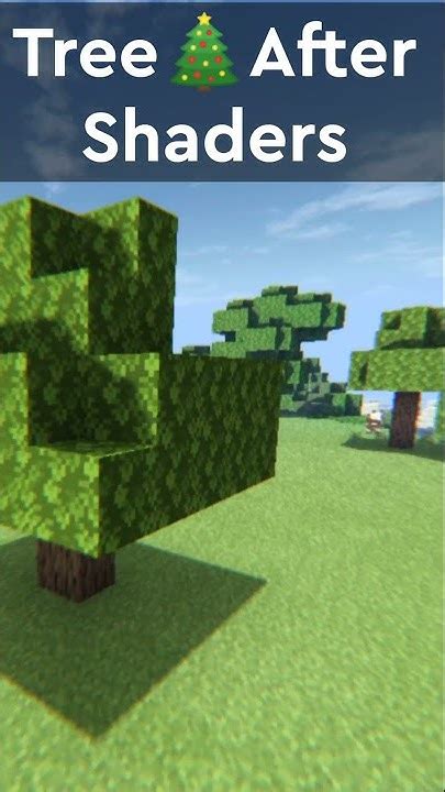 Minecraft Tree 🎄 After Shaders And Before Shaders Shorts Youtube